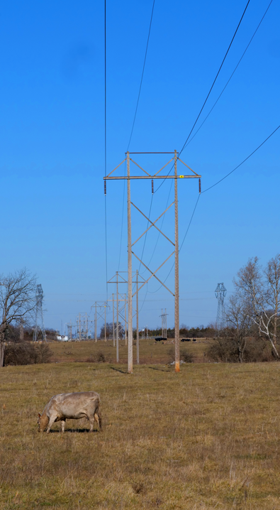 NextEra Energy Transmission | MidAtlantic Resiliency Link